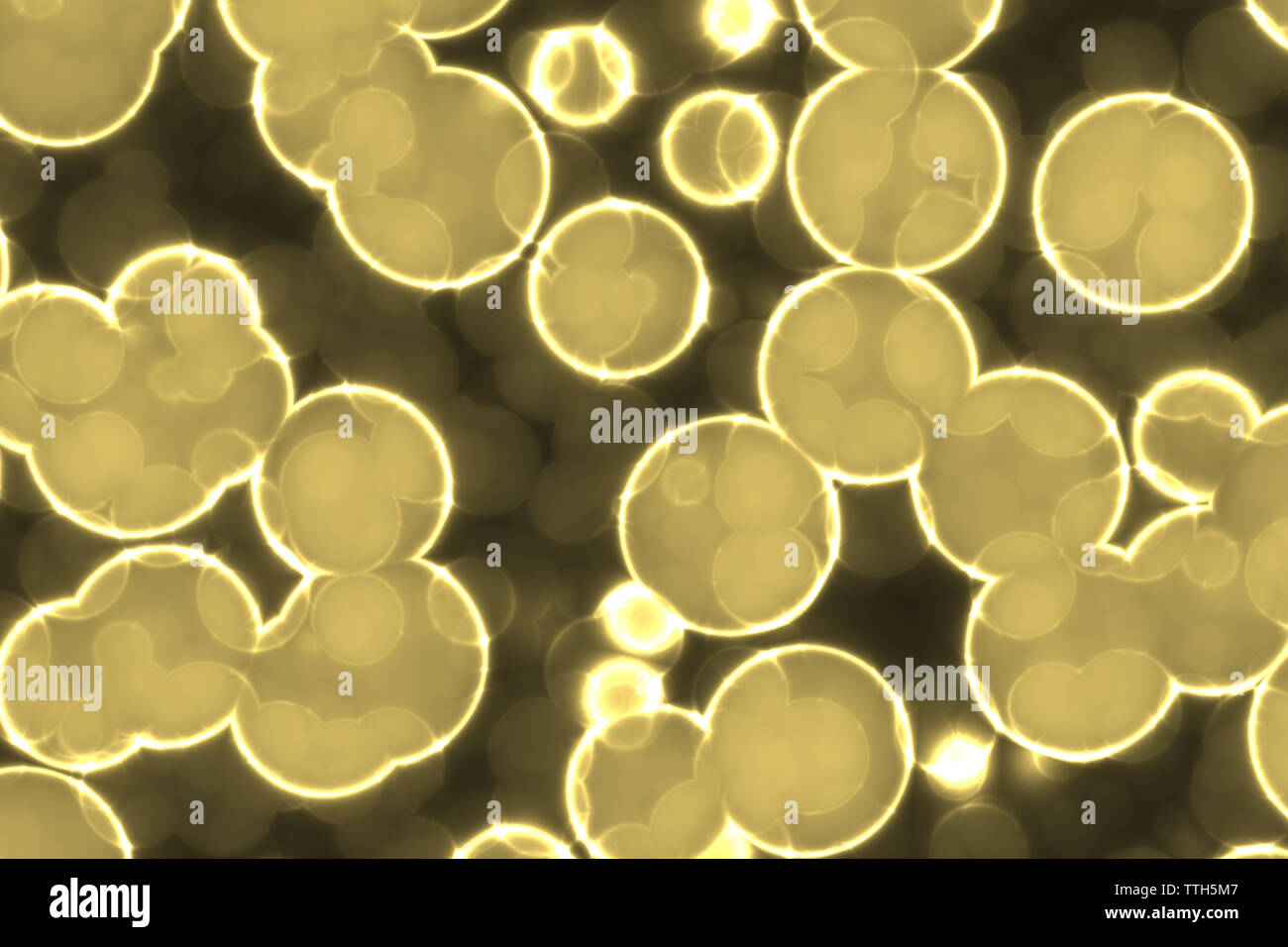 La forma della cellula batterica: cocchi, bacilli, spirilla batteri ...