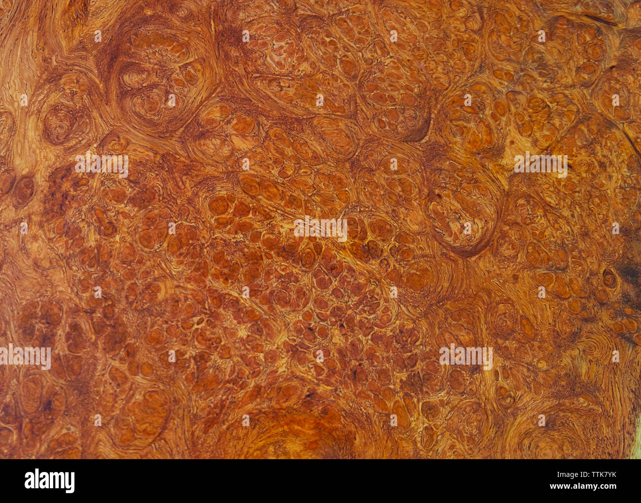 High resolution walnut wood texture immagini e fotografie stock ad alta ...