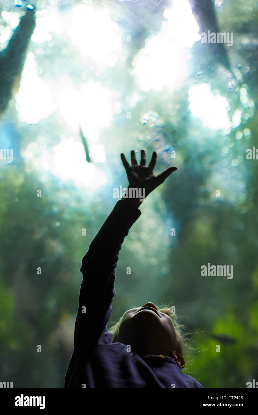 Ragazza con la mano alzata immagini e fotografie stock ad alta ...