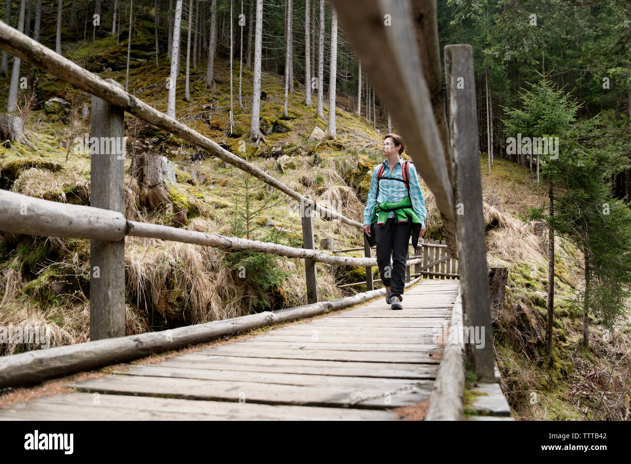 Escursionista femmina sulla passerella in legno immagini e fotografie ...