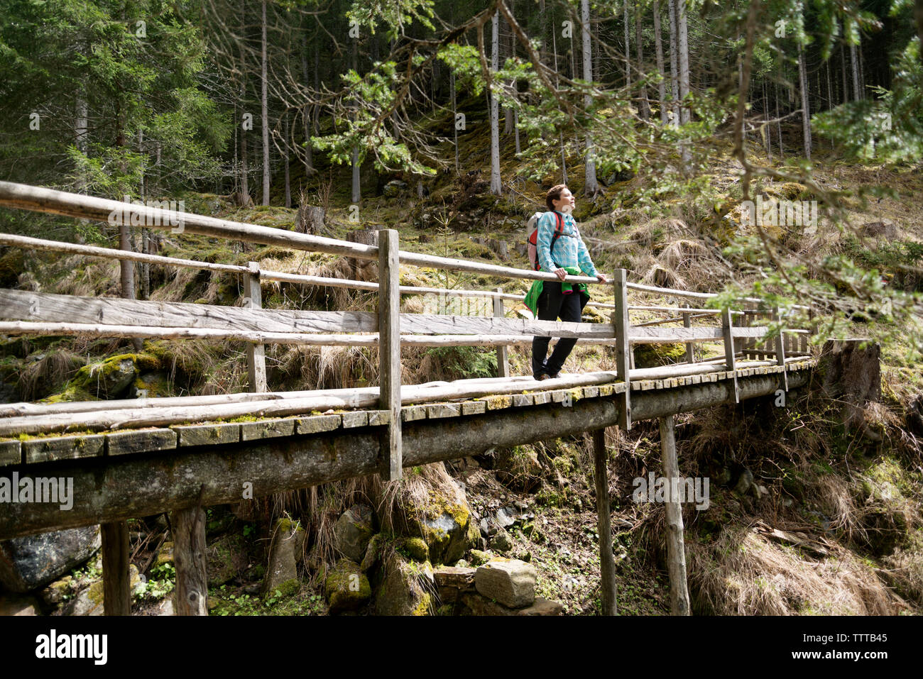 Escursionista femmina sulla passerella in legno immagini e fotografie ...