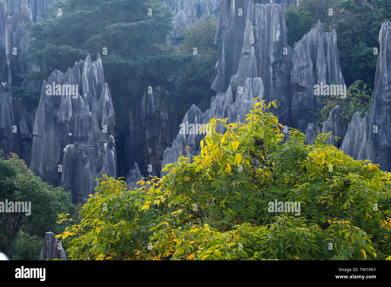 Lago Carsico Immagini e Fotos Stock - Alamy