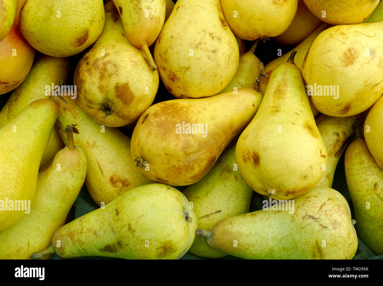 Frutta frutta pere immagini e fotografie stock ad alta risoluzione - Alamy