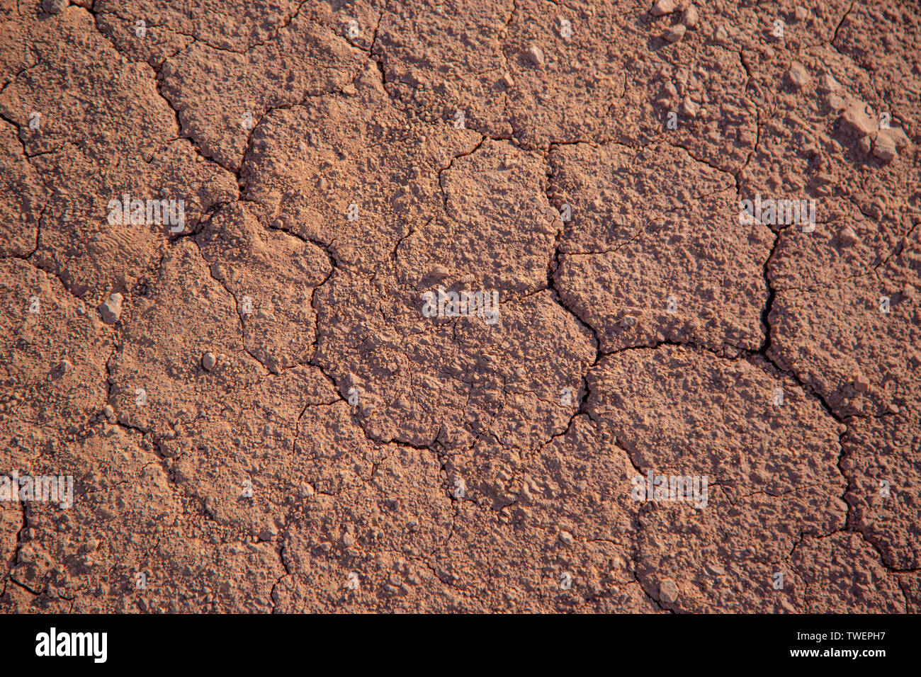 Seamless natural texture surface soil immagini e fotografie stock ad ...