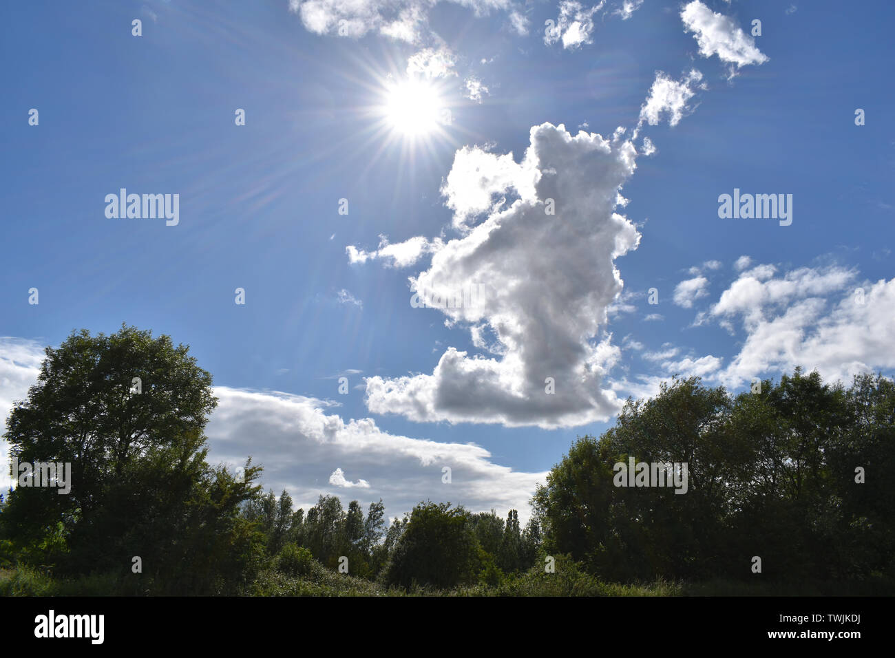 Luce solare di mezzogiorno immagini e fotografie stock ad alta ...