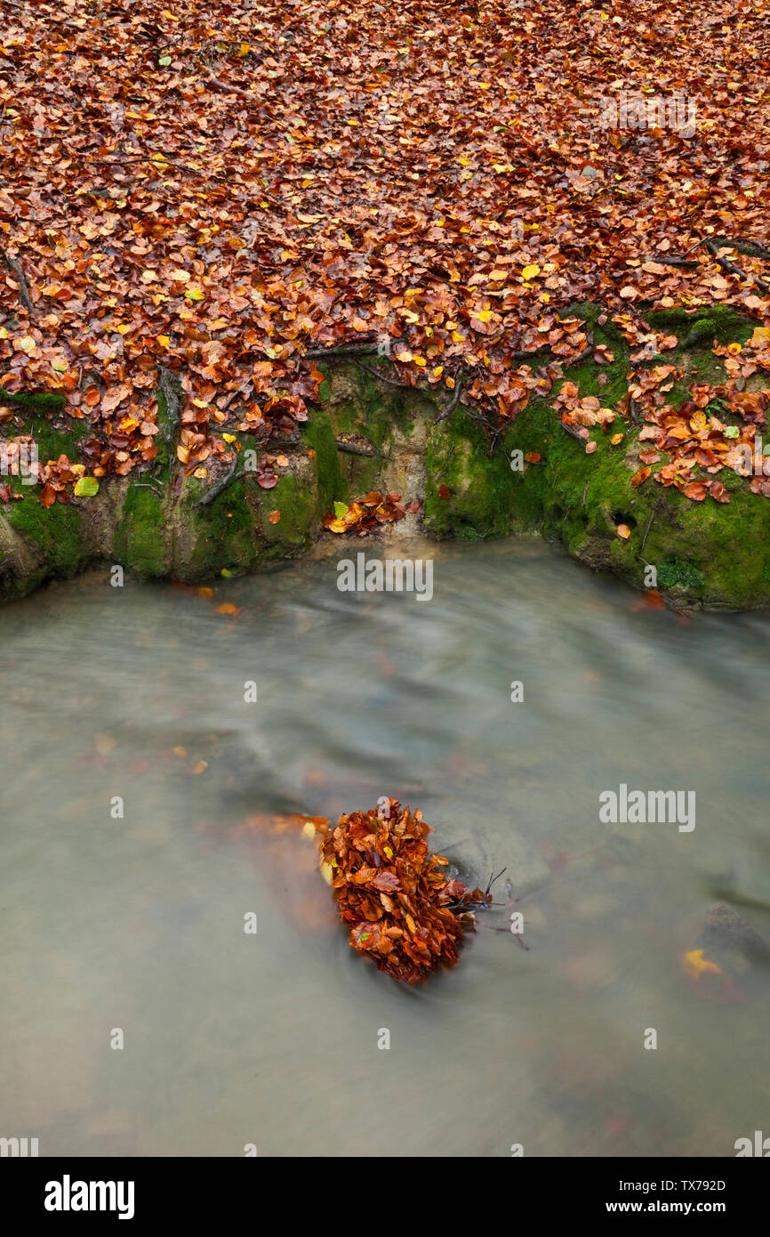 Parque natural de gorbeia immagini e fotografie stock ad alta ...