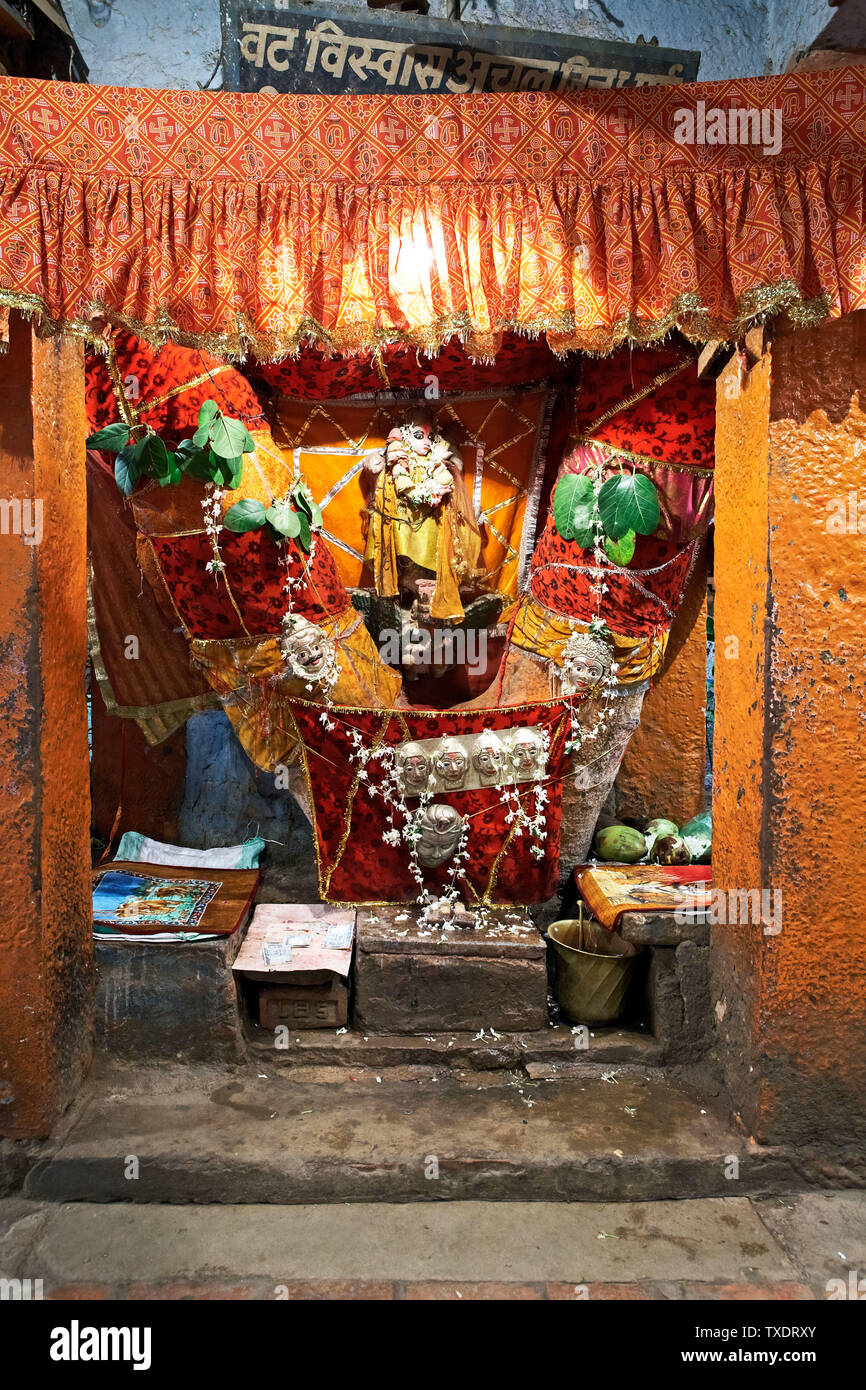 Il sacro fico immagini e fotografie stock ad alta risoluzione - Alamy