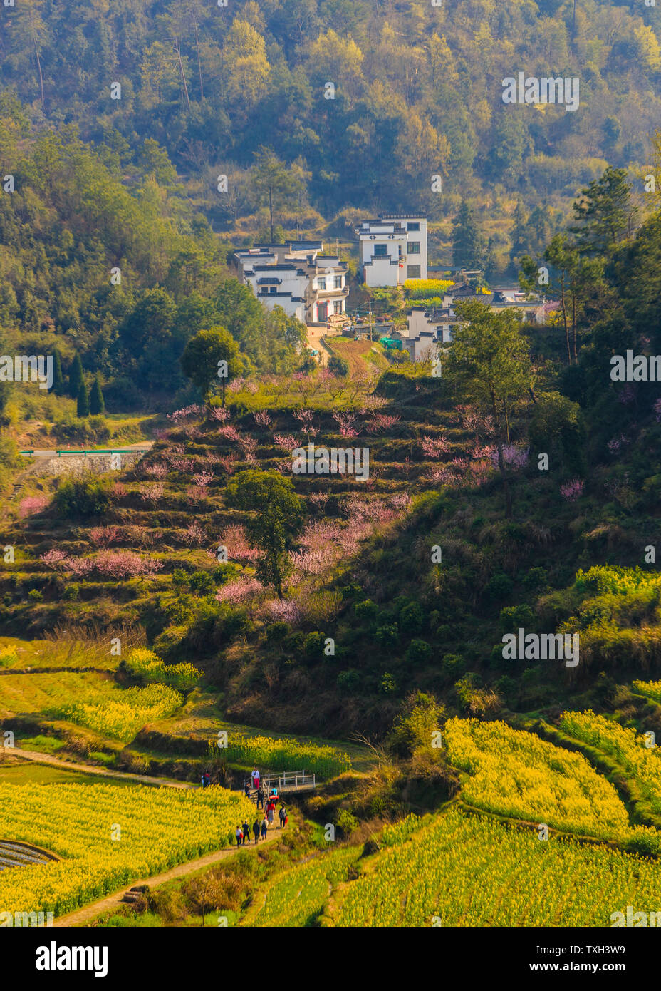 Villaggio di lingshan immagini e fotografie stock ad alta risoluzione ...
