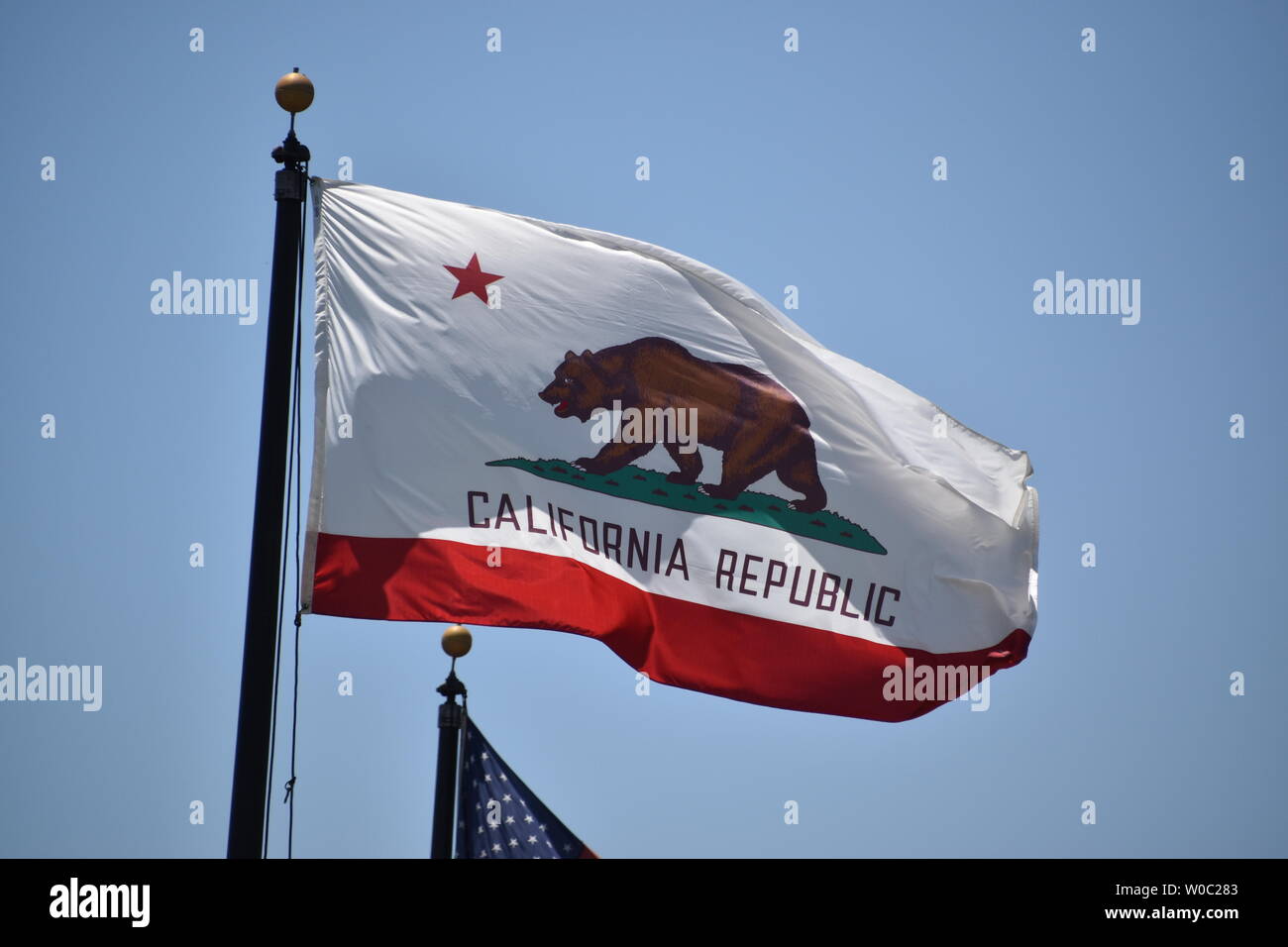 Bandiera Dello Stato Della California Immagini e Fotos Stock - Alamy