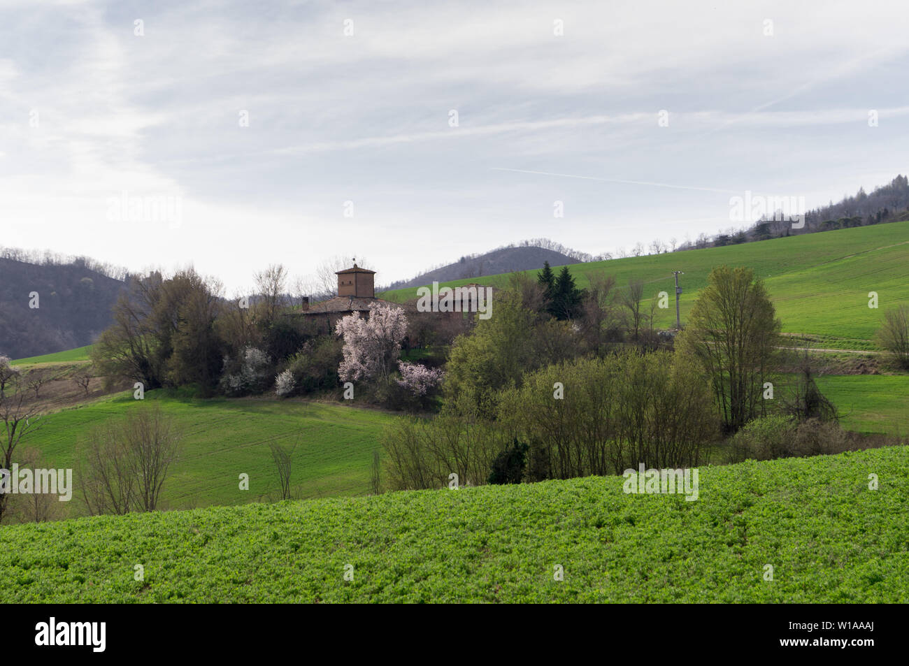 Colli bolognesi immagini e fotografie stock ad alta risoluzione - Alamy