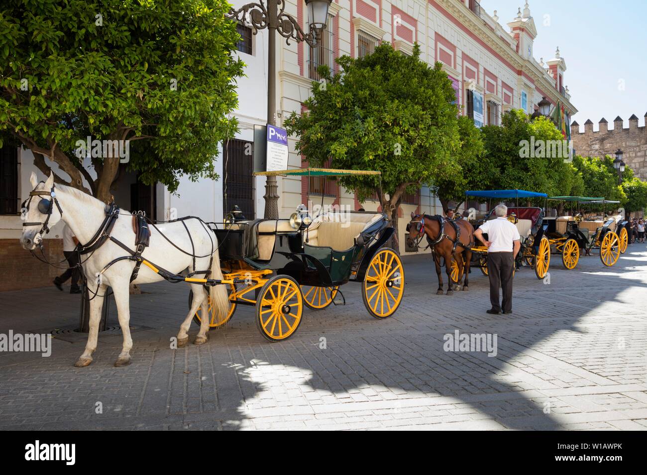 Carrozze trainate da cavalli a plaza del triunfo immagini e fotografie ...