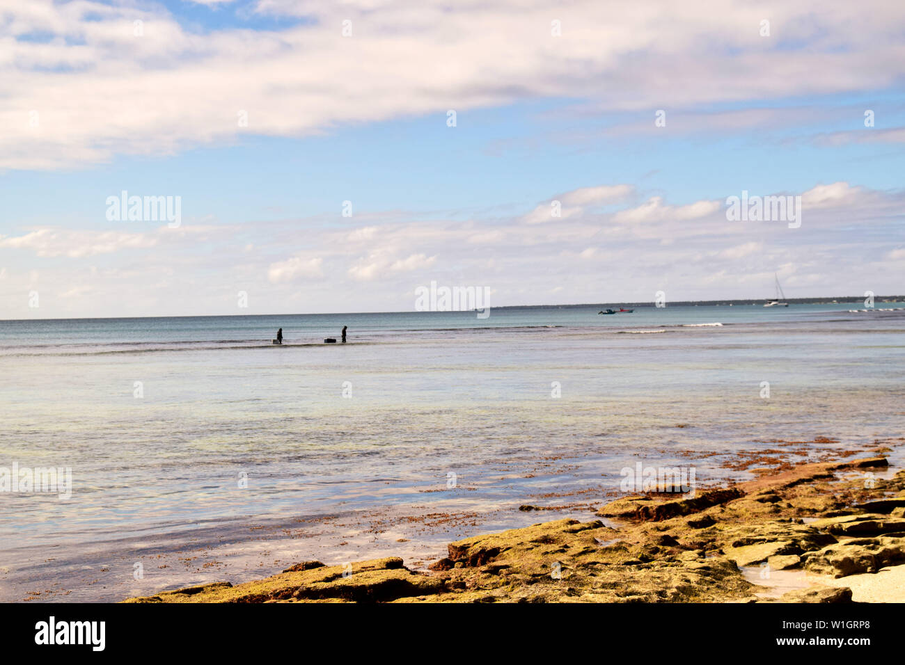 Isola di tonga immagini e fotografie stock ad alta risoluzione - Alamy