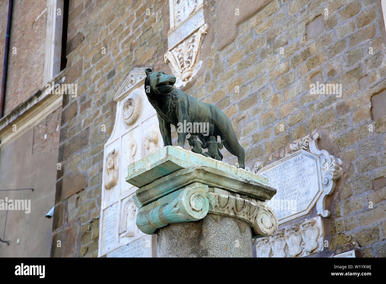 Lupo lupa capitolina art immagini e fotografie stock ad alta ...