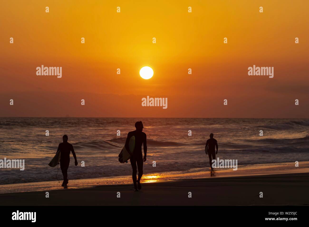 Surfisti che camminano sulla spiaggia immagini e fotografie stock ad ...