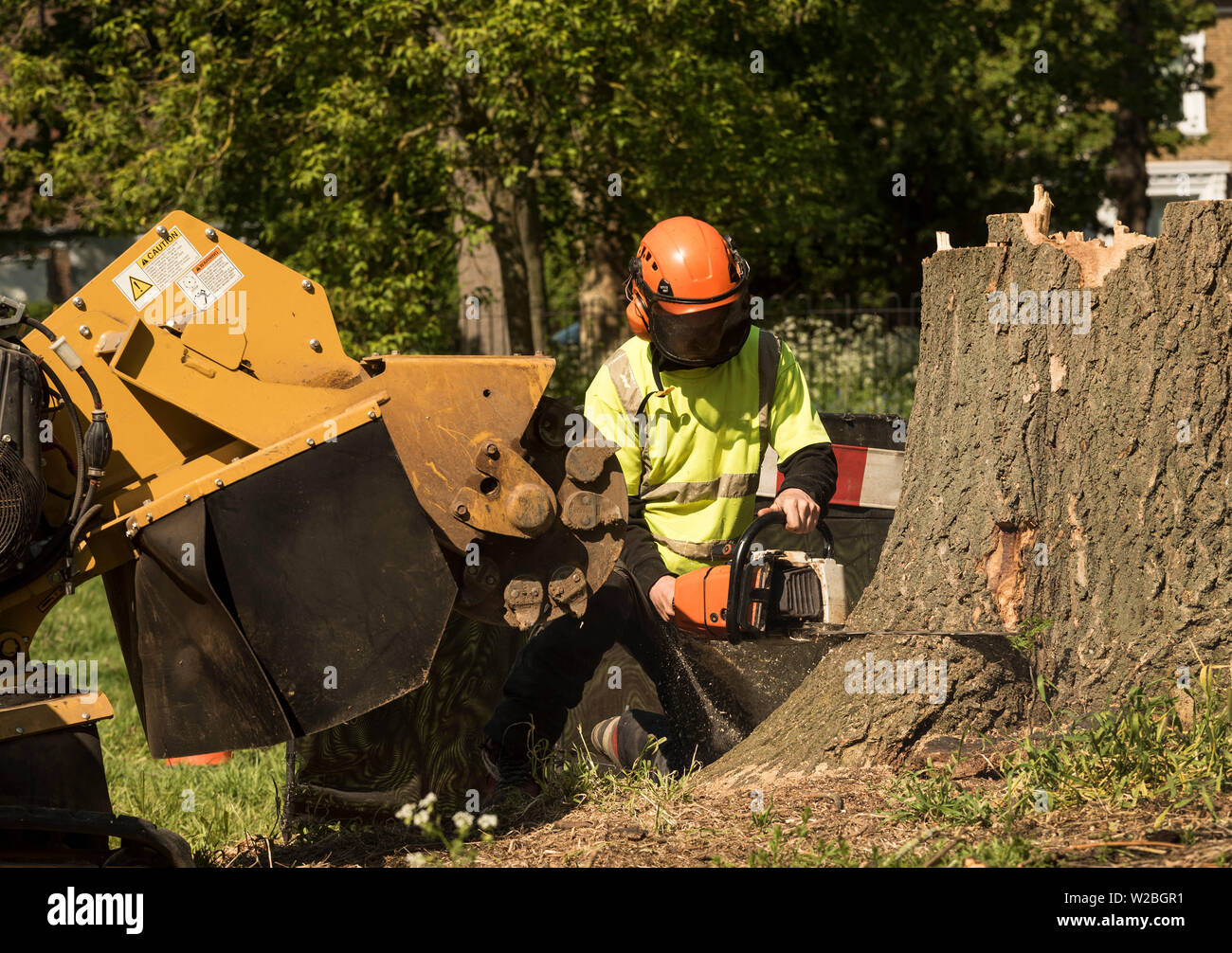 Uomo motosega immagini e fotografie stock ad alta risoluzione - Alamy