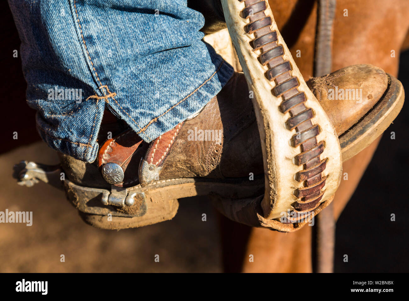 Sperone da cowboy immagini e fotografie stock ad alta risoluzione - Alamy