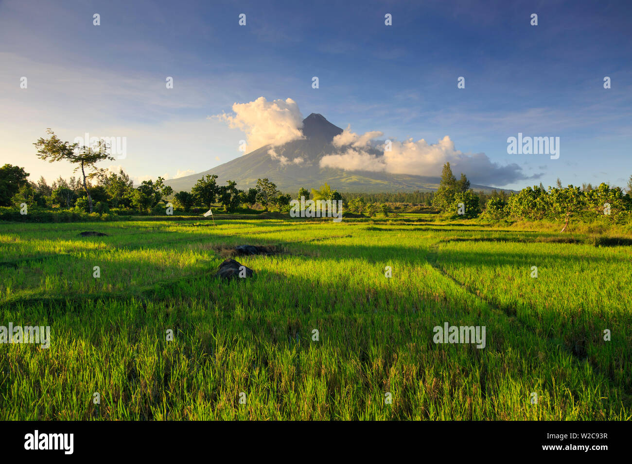 Vulcano mayon al tramonto immagini e fotografie stock ad alta ...