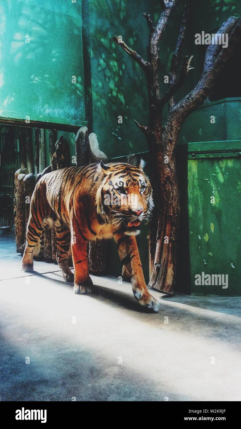 Fauna di praga immagini e fotografie stock ad alta risoluzione - Alamy