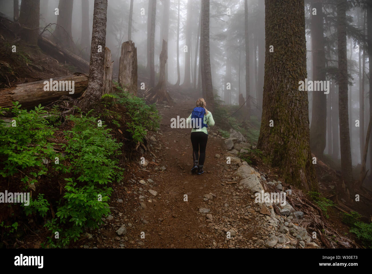 Donna Escursionismo Sentiero Nel Bosco Immagini e Fotos Stock - Alamy