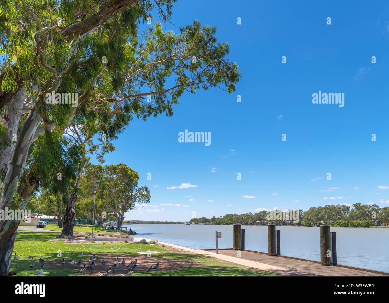 Murray river immagini e fotografie stock ad alta risoluzione - Alamy