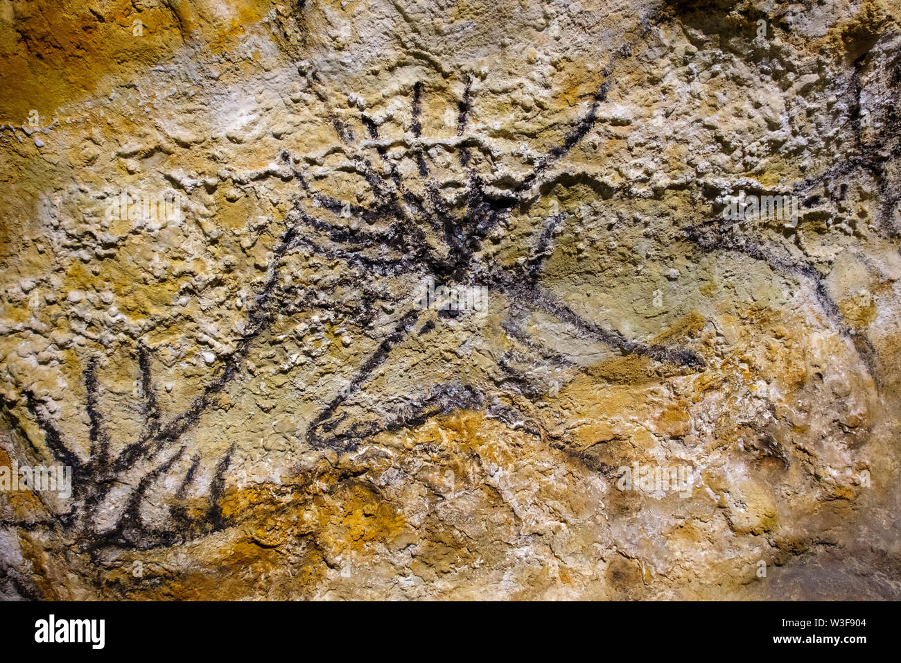 Pitture rupestri di lascaux immagini e fotografie stock ad alta ...