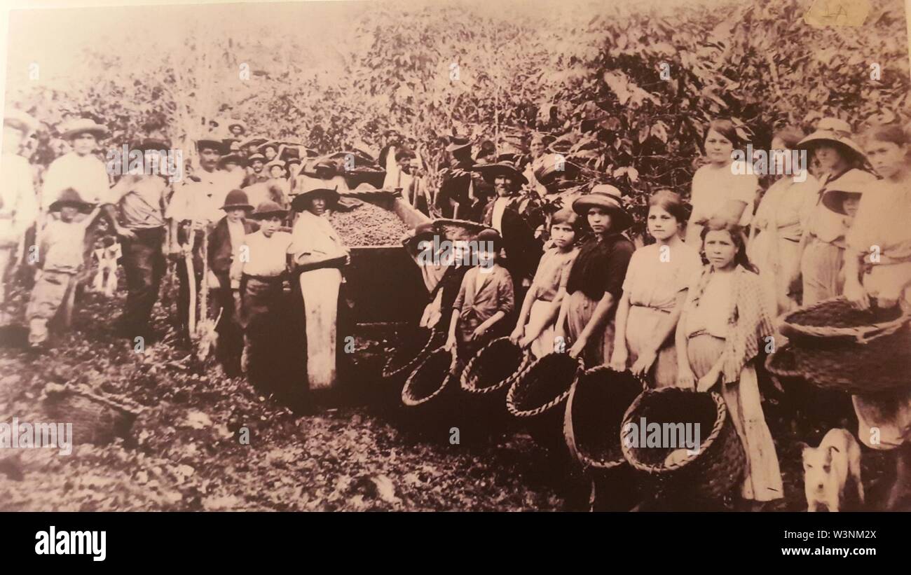 Cafe de costa rica immagini e fotografie stock ad alta risoluzione - Alamy