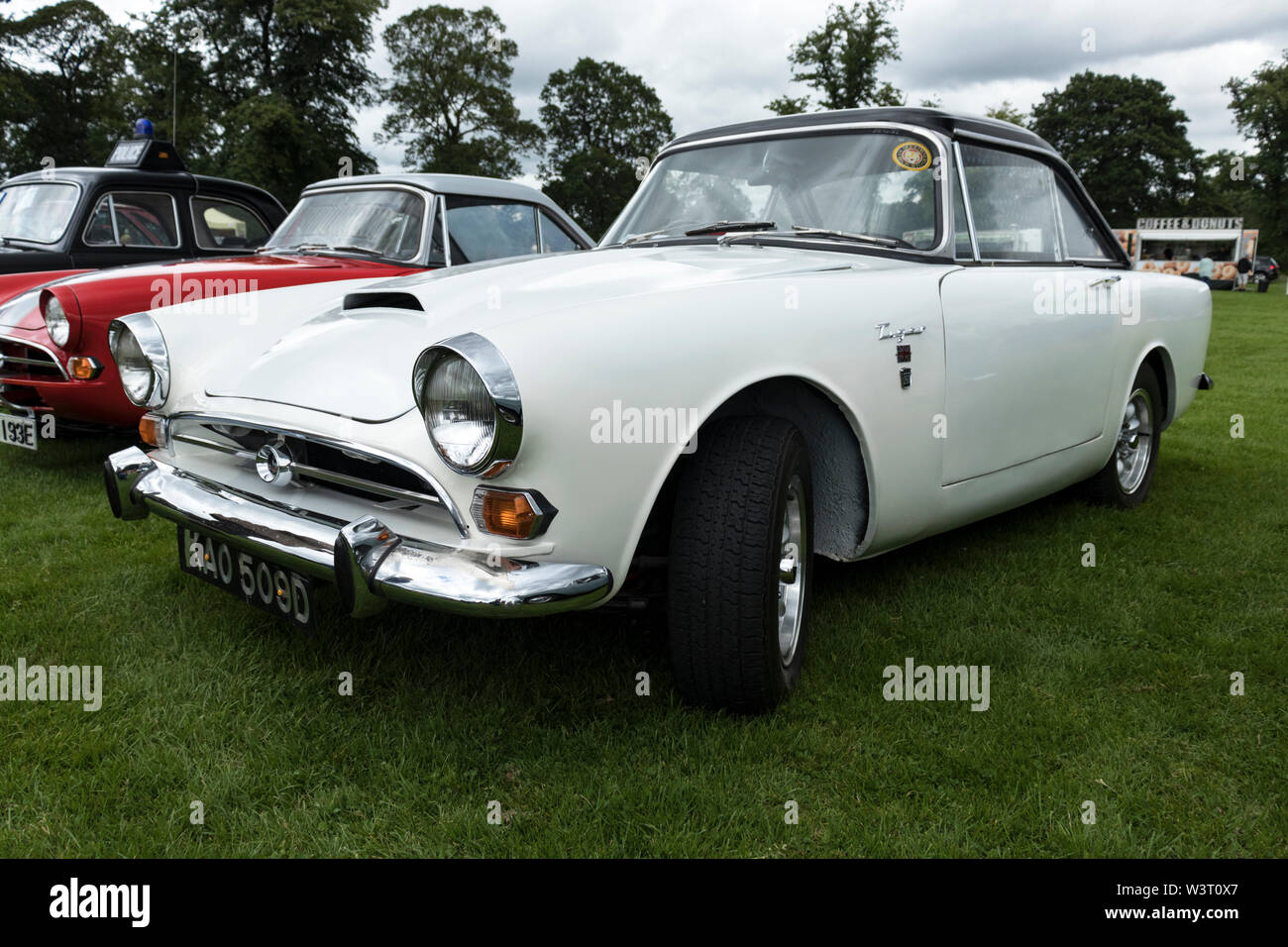 Sunbeam tiger immagini e fotografie stock ad alta risoluzione - Alamy