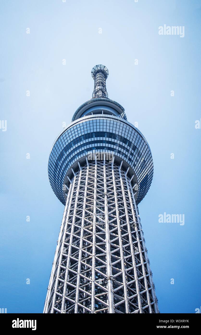 Skyline notturno di tokyo con lo skytree sullo sfondo immagini e ...