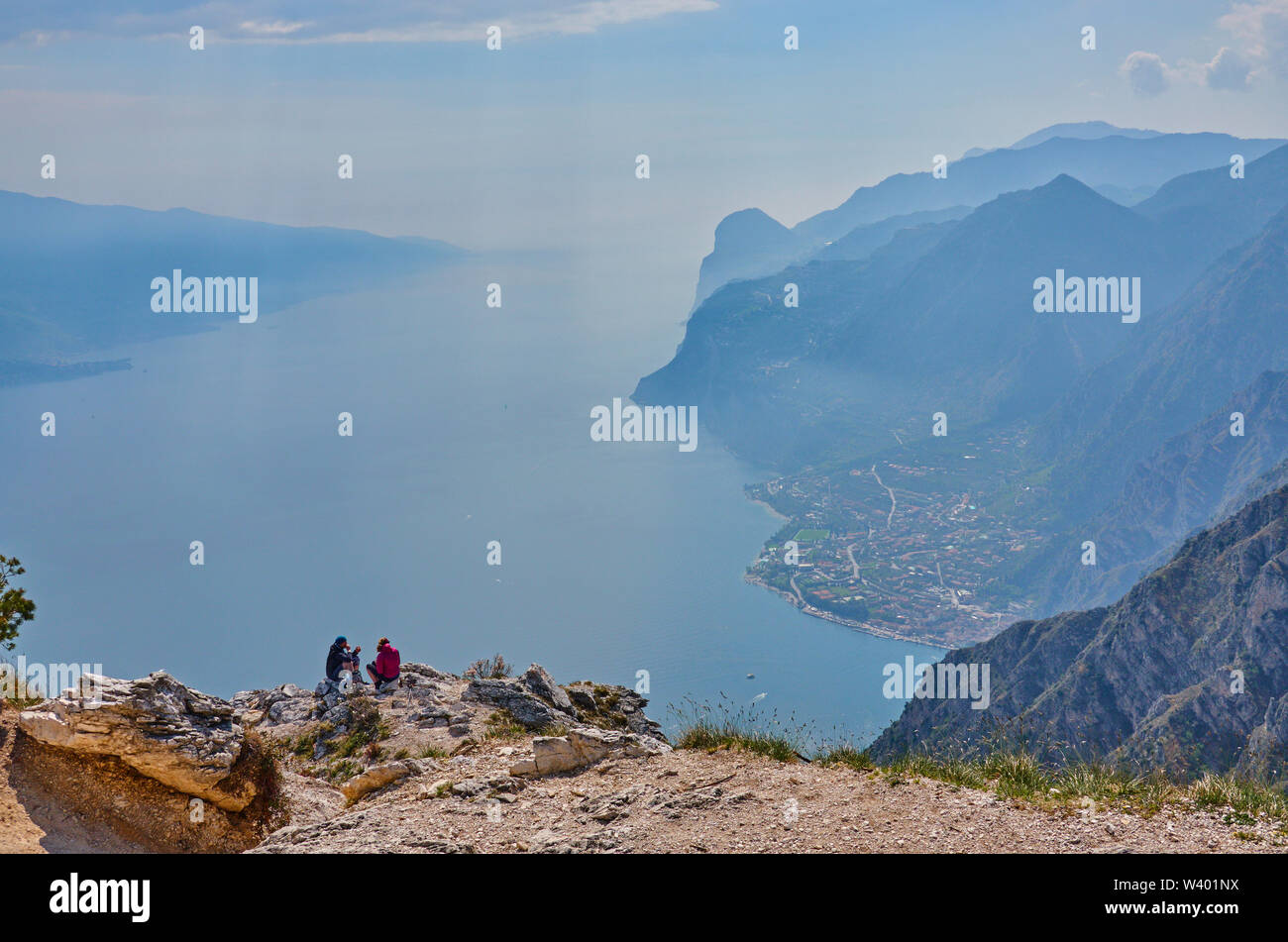 Punta larici immagini e fotografie stock ad alta risoluzione - Alamy