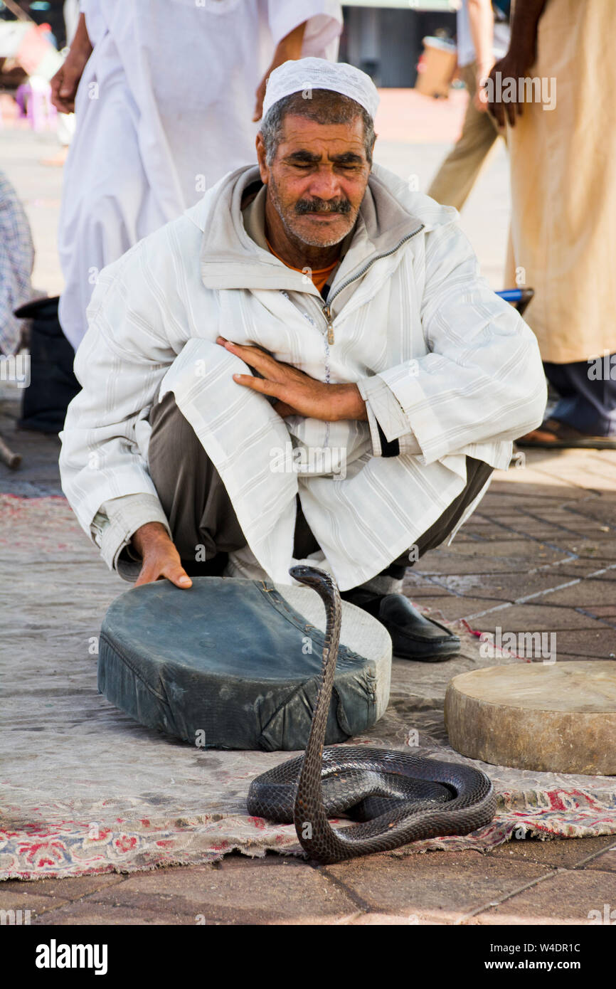 Incantatore di serpenti marocco immagini e fotografie stock ad alta ...