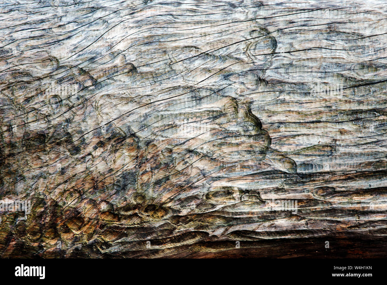 Legno antico immagini e fotografie stock ad alta risoluzione - Alamy