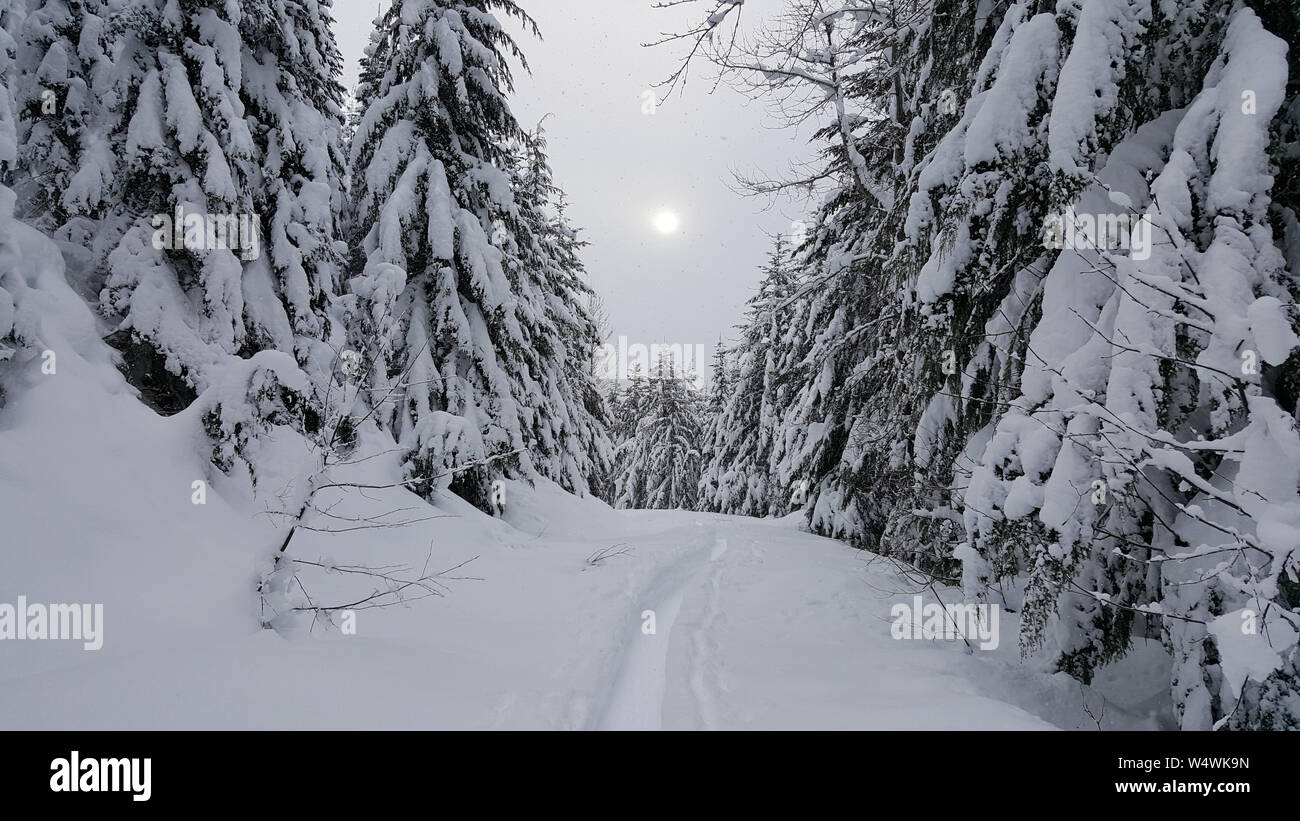 Sole e neve in montagna immagini e fotografie stock ad alta risoluzione ...