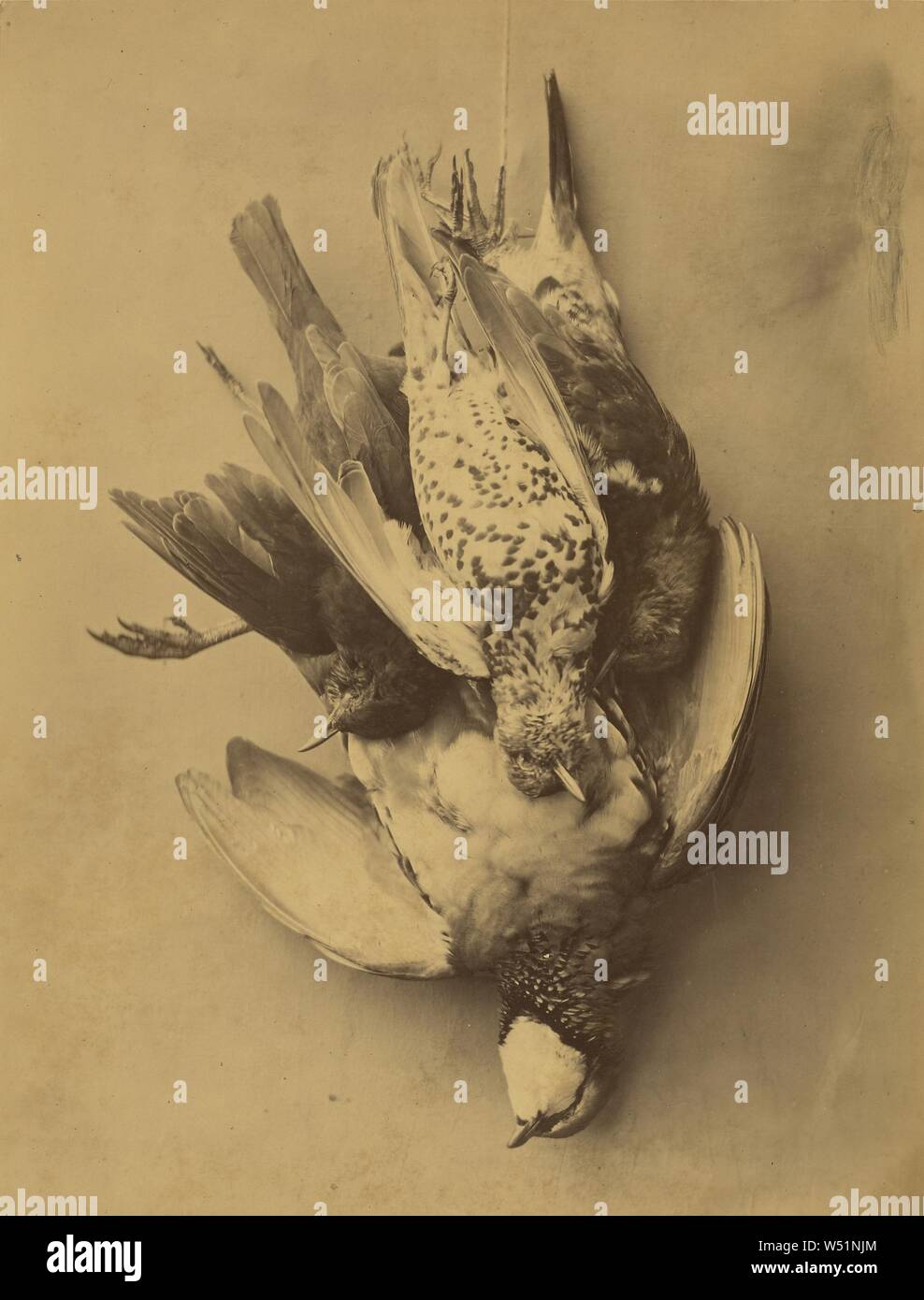 Eugene maurice immagini e fotografie stock ad alta risoluzione - Alamy