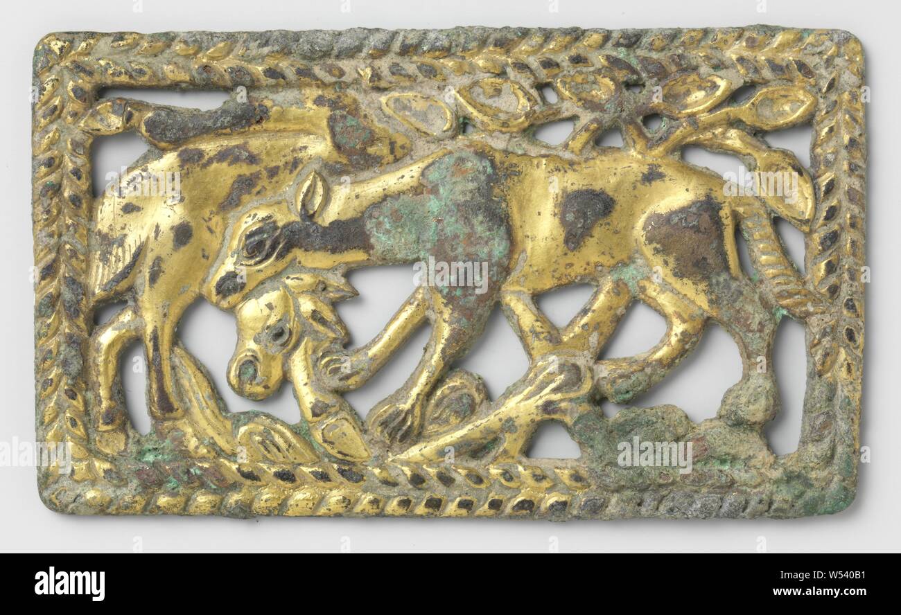 Mulo attaccato immagini e fotografie stock ad alta risoluzione - Alamy