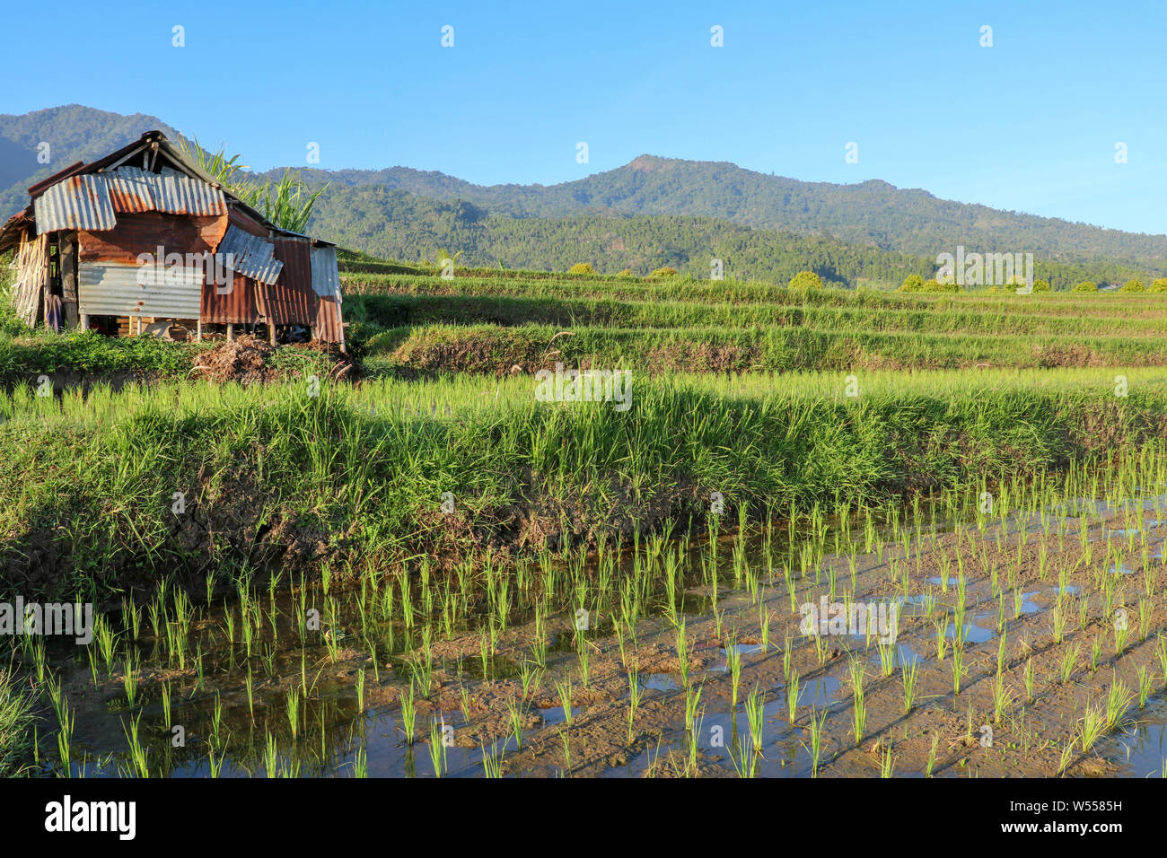Tetto A Terrazze Immagini e Fotos Stock - Alamy