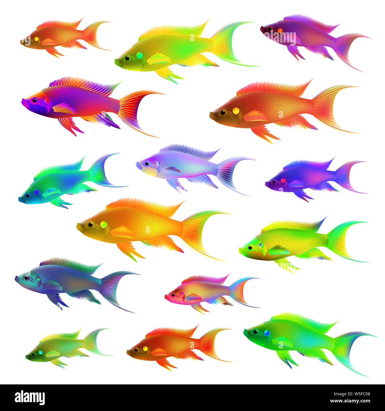 Pesci colorati Immagini Vettoriali Stock - Alamy