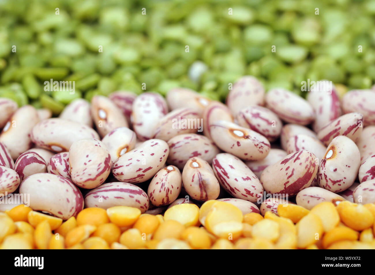 Tipi di usi immagini e fotografie stock ad alta risoluzione - Alamy