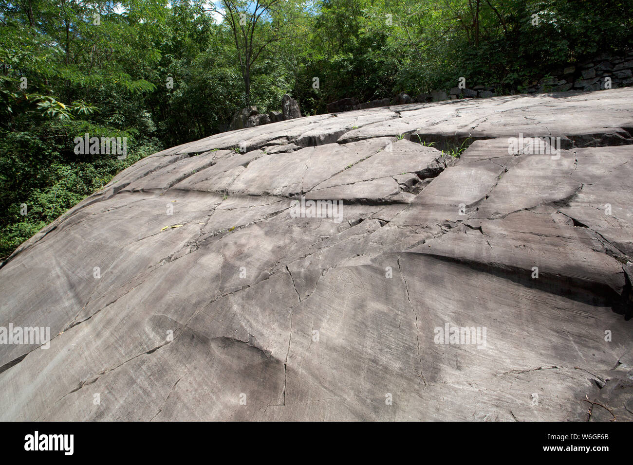 Graffiti preistorici rupestri immagini e fotografie stock ad alta ...