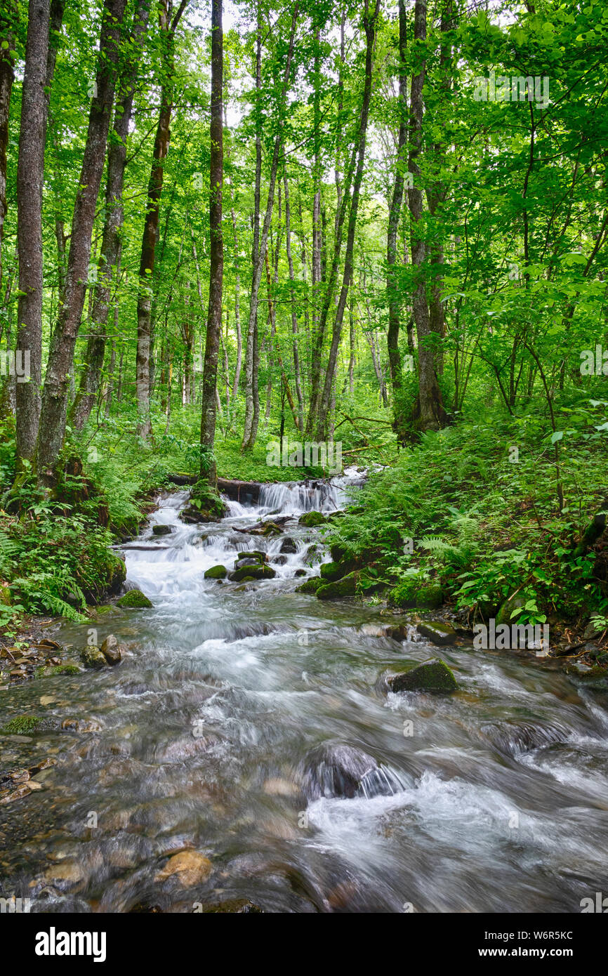 Montagna Estiva Immagini e Fotos Stock - Alamy