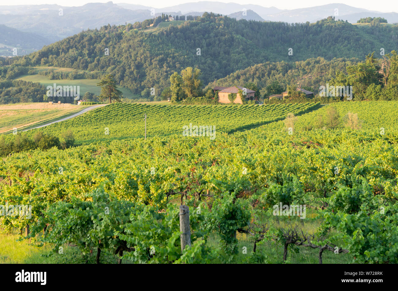 Colli bolognesi immagini e fotografie stock ad alta risoluzione - Alamy