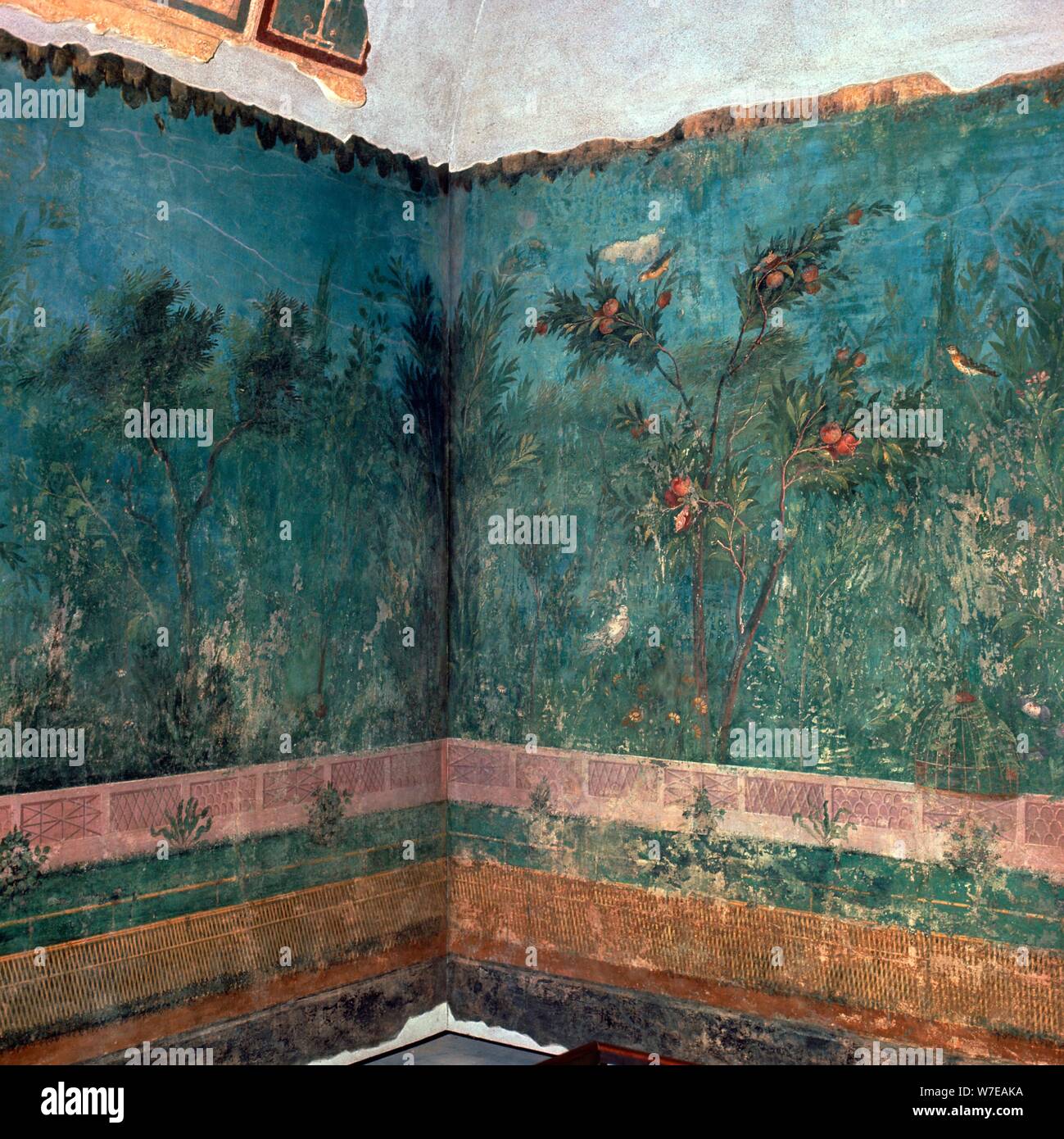 Casa di livia roma immagini e fotografie stock ad alta risoluzione - Alamy