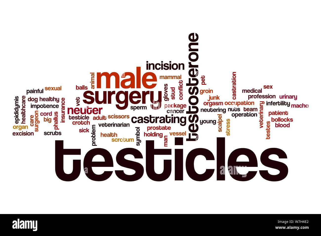 Testicoli uomo immagini e fotografie stock ad alta risoluzione - Alamy