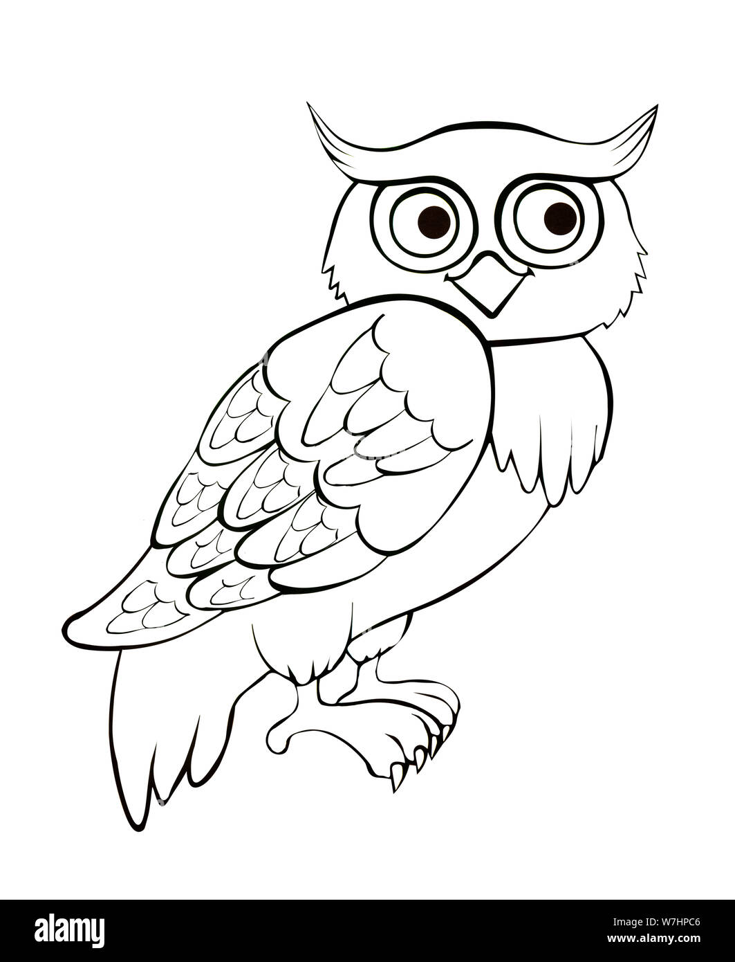 Gufo cartoon bianco e nero immagini e fotografie stock ad alta ...
