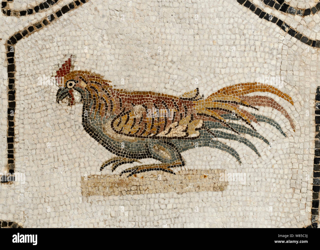 Galletto mosaico dal II secolo d.c. pavimentazione romana da Acholla ...