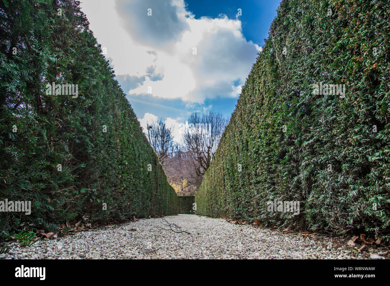 Labirinto di schonbrunn immagini e fotografie stock ad alta risoluzione ...