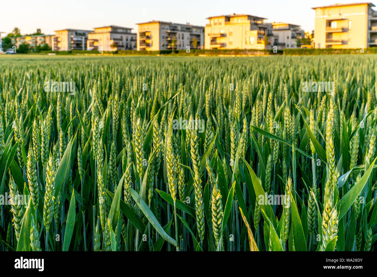 Garching bei munchen immagini e fotografie stock ad alta risoluzione ...