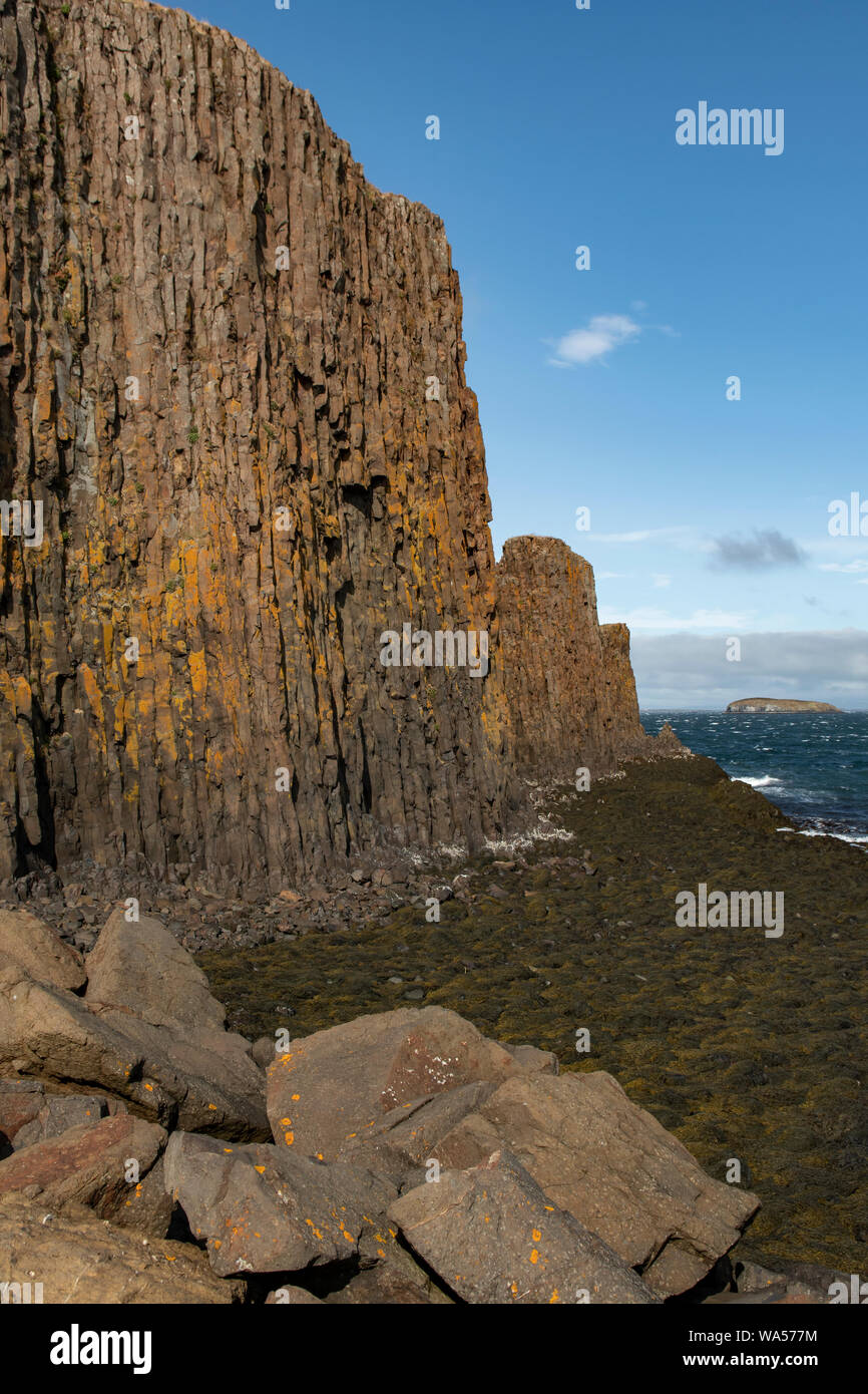 Colonne di basalto islandese immagini e fotografie stock ad alta ...