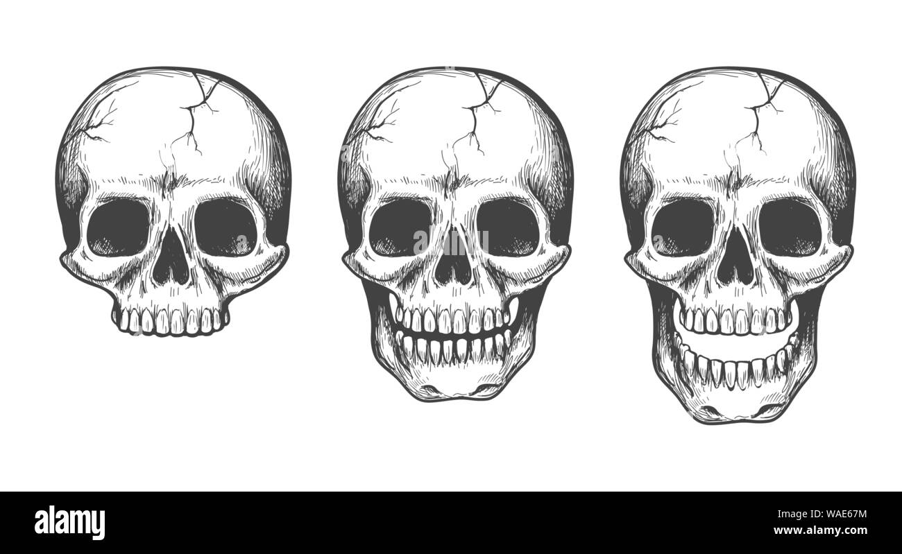 Faccia di anatomia spaventosa immagini e fotografie stock ad alta ...