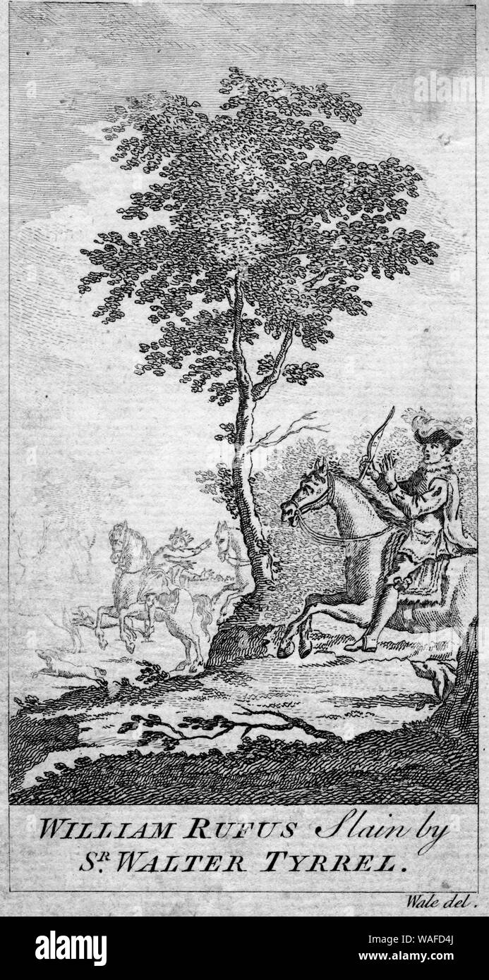 Sir walter tyrell immagini e fotografie stock ad alta risoluzione - Alamy