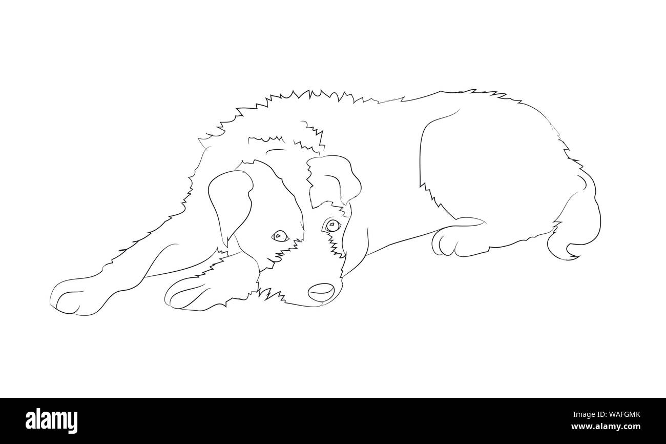 Linea continua disegno cane Immagini Vettoriali Stock - Alamy